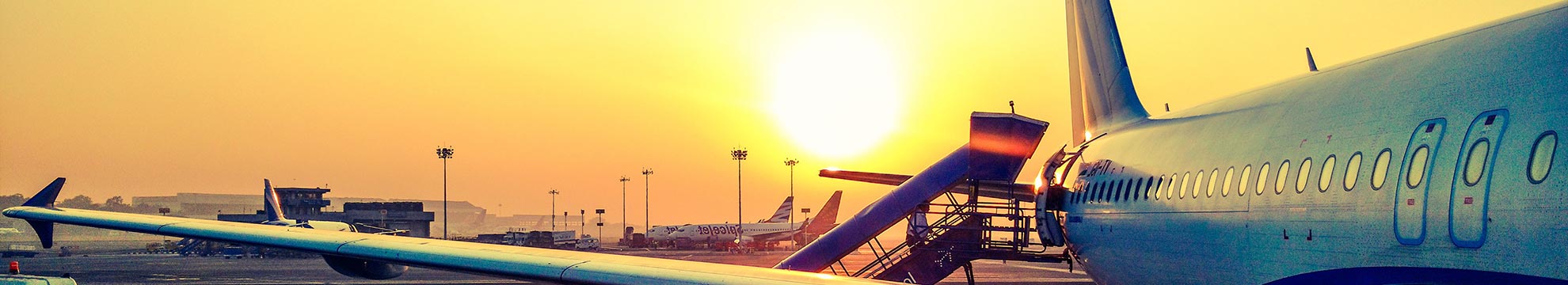 How to Apply for a Family Homestay in California ? | Oui-Connect